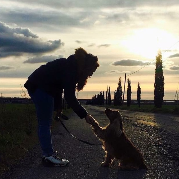 Cocker Val di Cornia – Allevamento amatoriale Cocker Spaniel Inglese